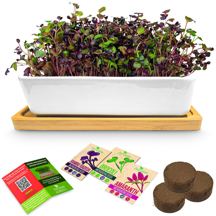 Ceramic Microgreens Growing Kit to Grow 3 Crops Including Organic USDA