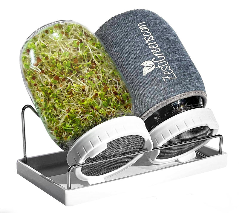 How to Grow Sprouts At Home – ZestiGreens