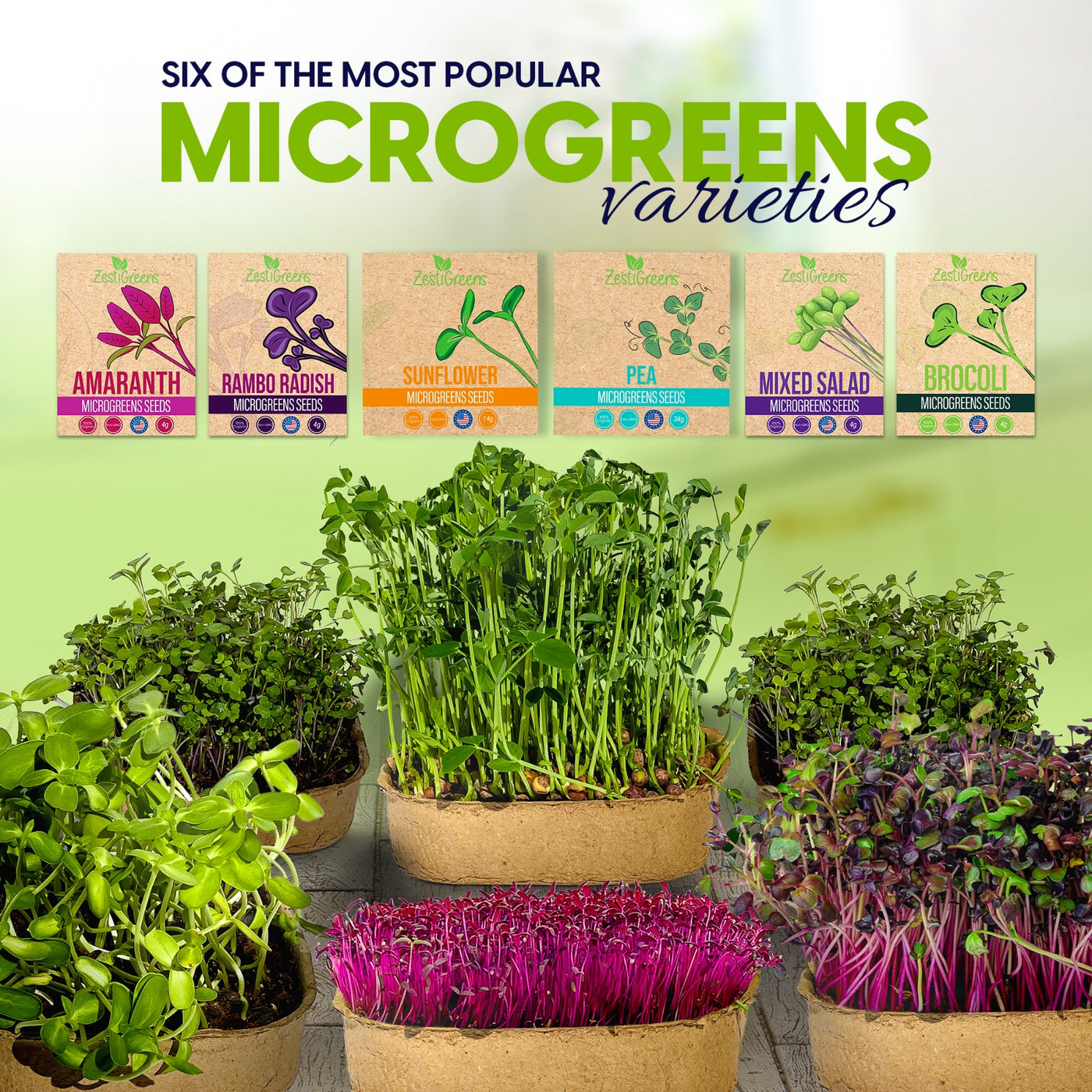How to Grow Microgreens at Home From Seeds – ZestiGreens